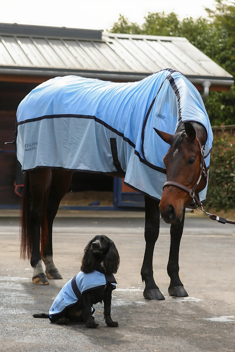 Equilibrium Quick Chill Rug with Detachable Neck – Horse in the Box