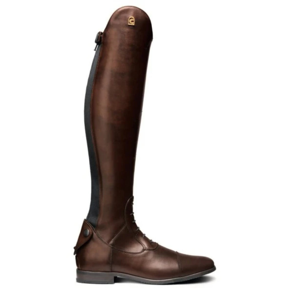 Cavallo Advantage Field Hand Painted Tall Boots – Horse in the Box