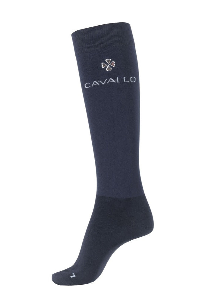 Cavallo Suami Socks – Horse in the Box