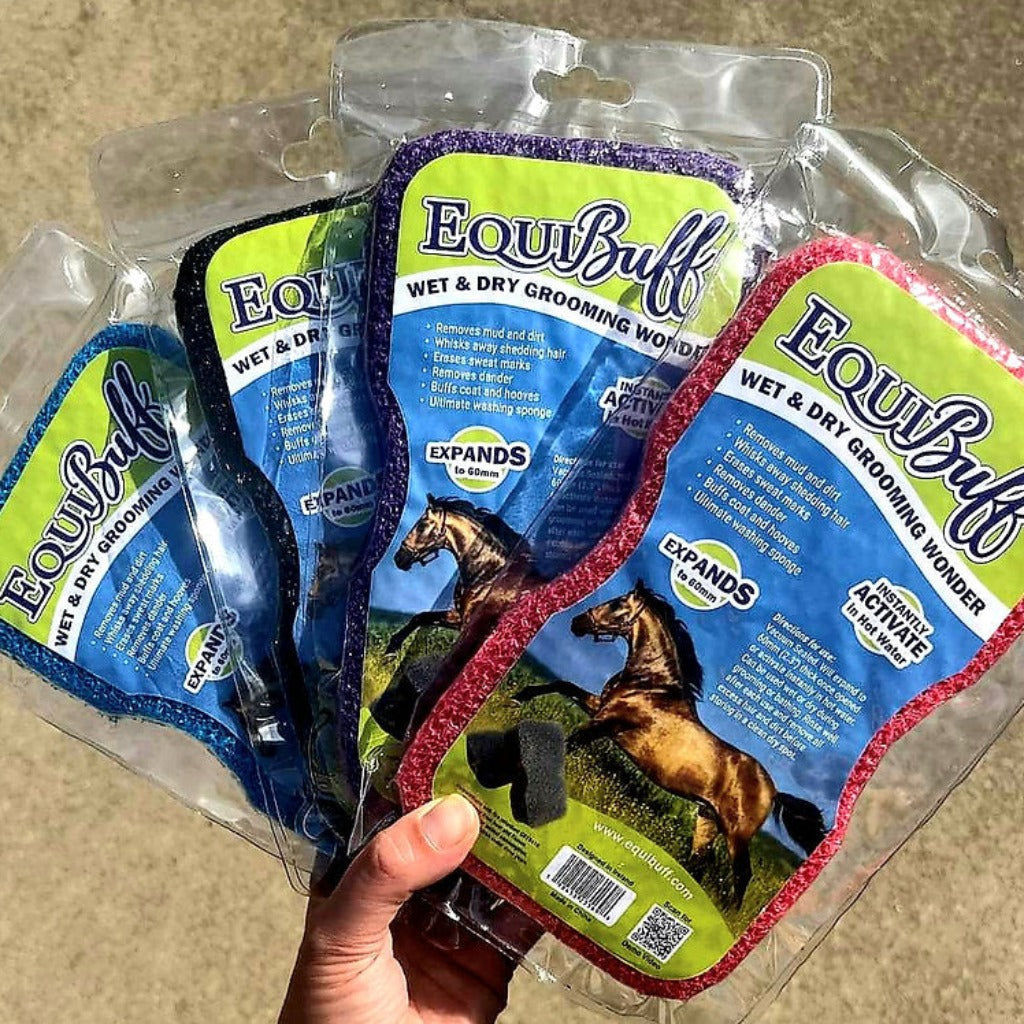 EQuiBuff Horse Grooming – Horse in the Box
