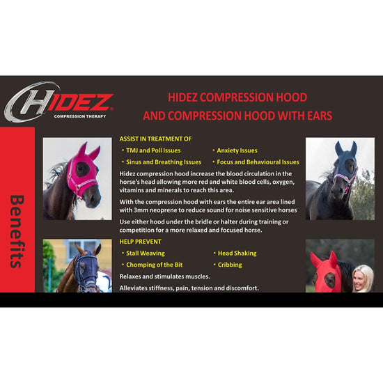 Hidez Compression Hood with Zipper and Ears BLACK – Horse in the Box