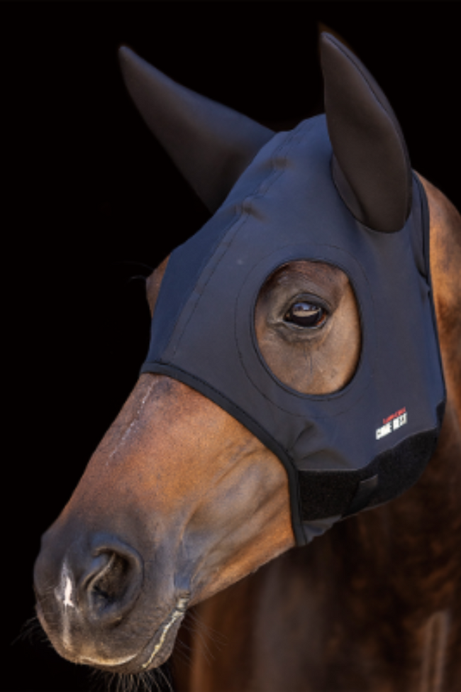 Lami-Cell Titanium Compression Hood with Ears – Horse in the Box