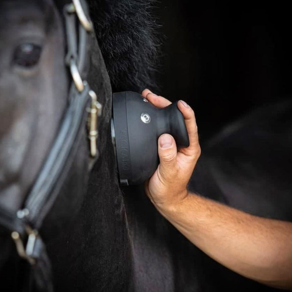 Wackaro Electronic Horse Massage and Grooming Device - Horse in the Box