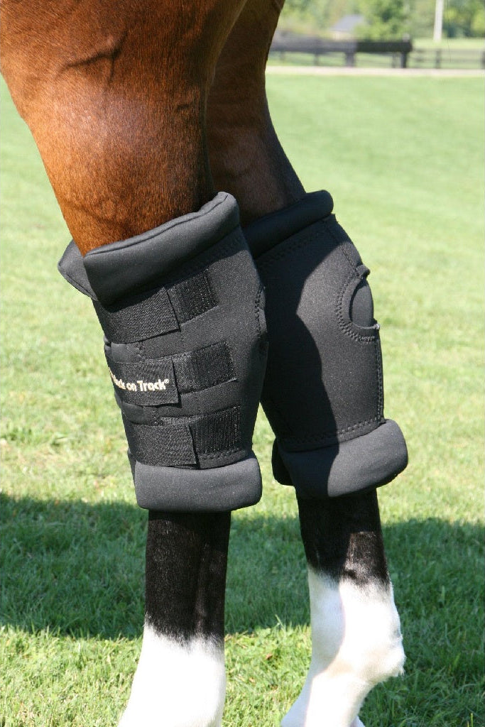 Back on Track Royal Padded Hock Boots – Horse in the Box