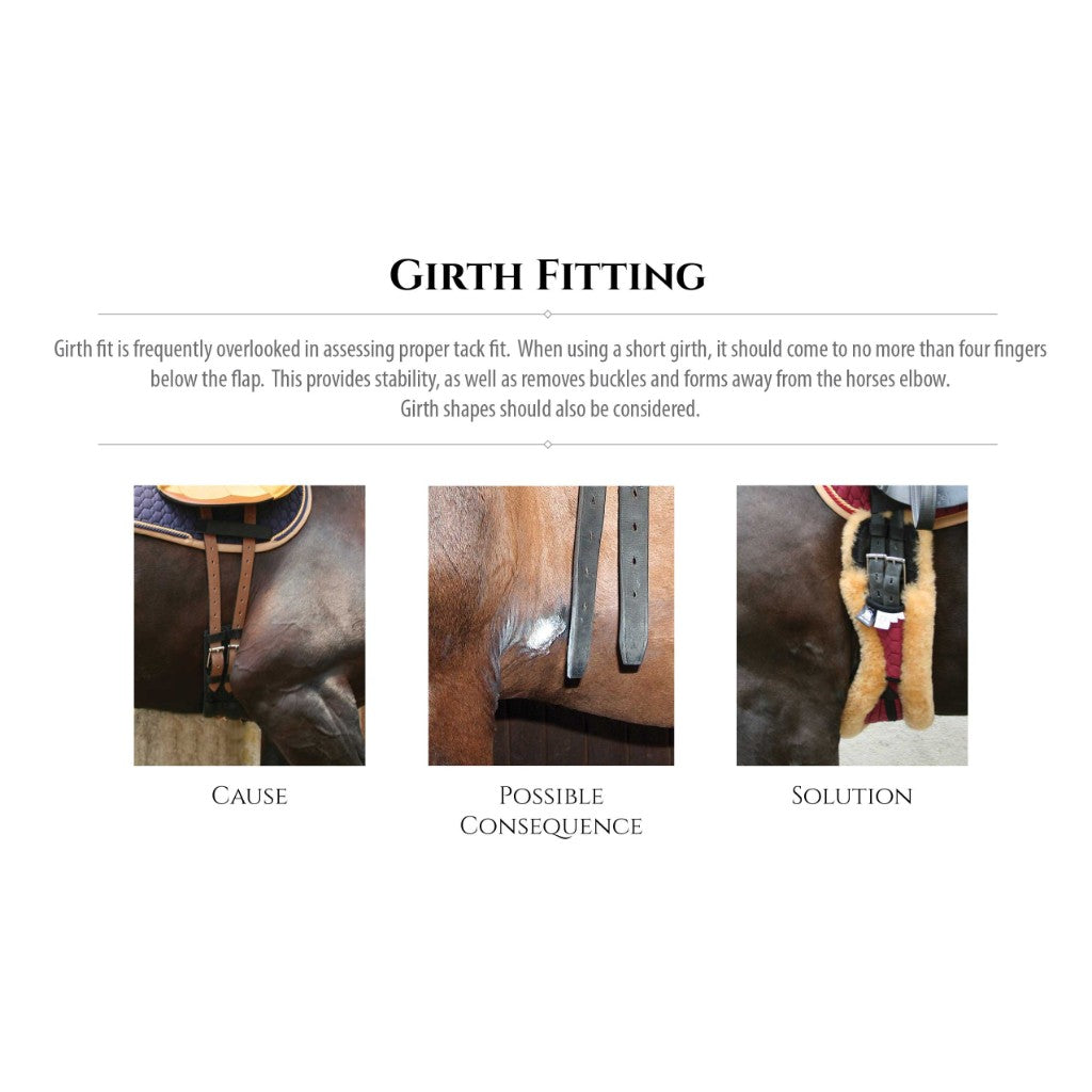Mattes Anatomic Girth - Horse in the Box