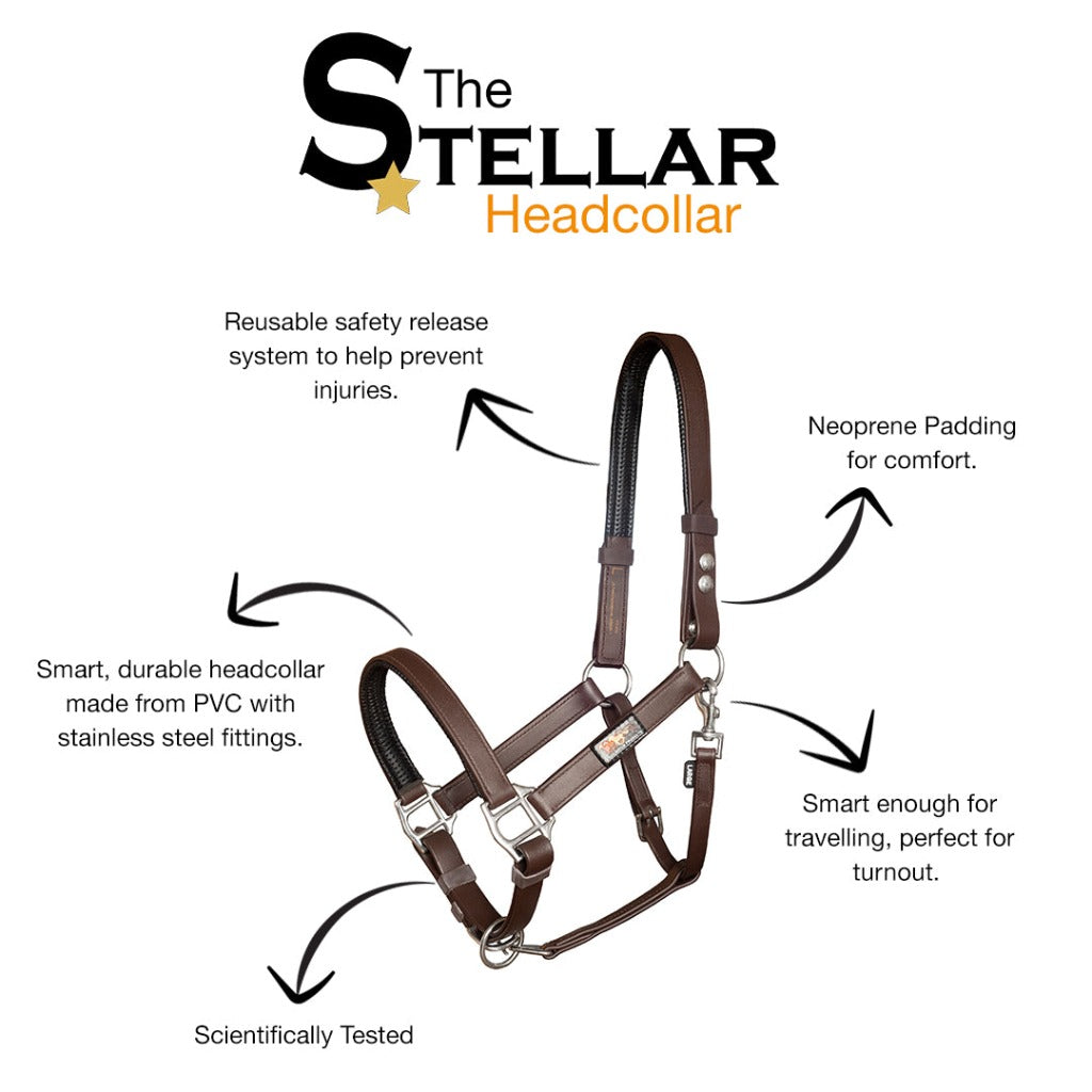Equilibrium Stellar Weatherproof Breakaway Safety Halter OLD STYLE ...