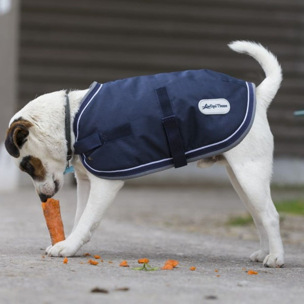 Equi Theme Deigo and Louna Waterproof Dog Rug NAVY - Horse in the Box